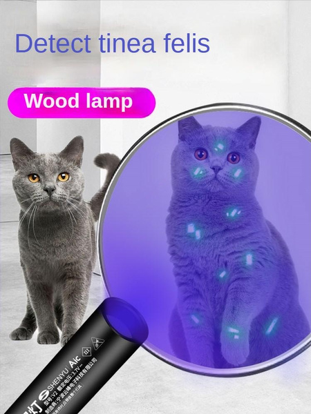 Wood's Lamp for Detection of Cat Tinea and Pet Urine Flashlight ...