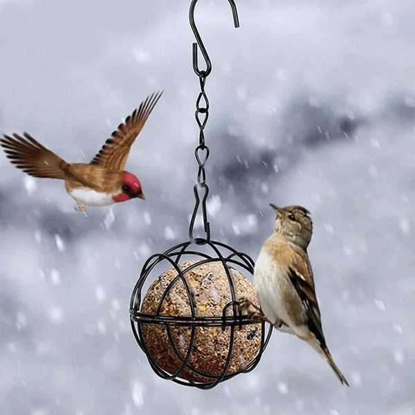 Fat Ball Bird Feeder, 2pcs Metal Fat Ball Bird Holder, Hanging Bird ...