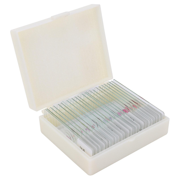 Biological Slides Animal Slide Safe And Durable Easy To Identify Clean ...