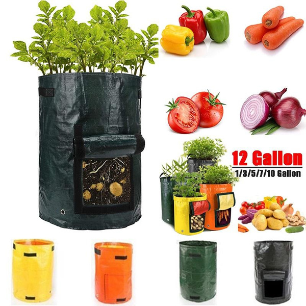 1/3/5/7/10/12 Gallon Potato Grow Container Bag Vegetable Patio Tomato Sack Planter Gardening ...