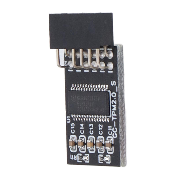 Lpc Tpm Module Tpm 2 0 Module Lpc Spi 12pin Remote Card Encryption Security Board Accessory For