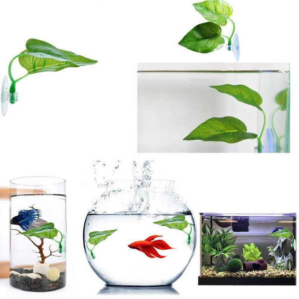 Aquarium Leaf Plants Decoration Spawning Ornamental Plant Betta Fish ...