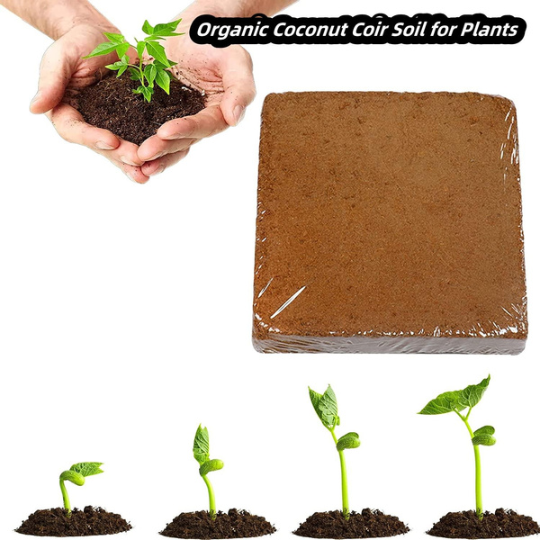 Organic Coconut Coir for Plants, Coconut Coir Bulk Bricks, Potting Soil ...