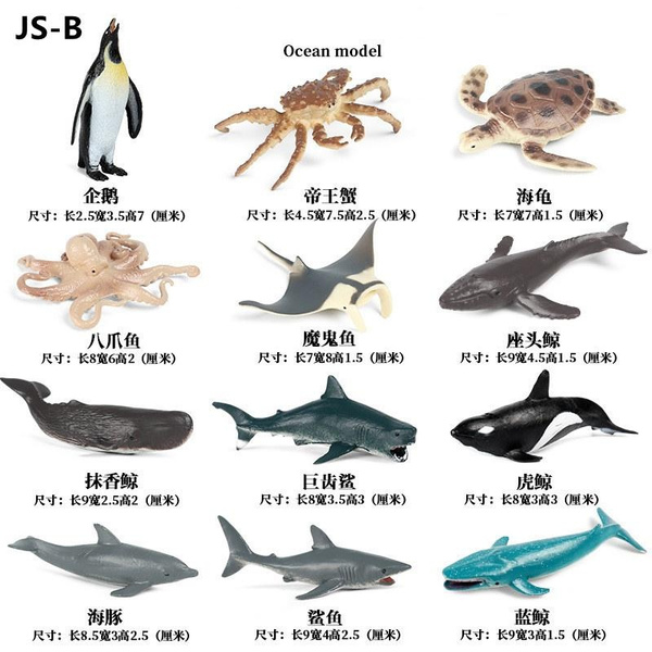 12pcs Miniature Ocean Marine Shark Model Classic Sea Life Animal ...