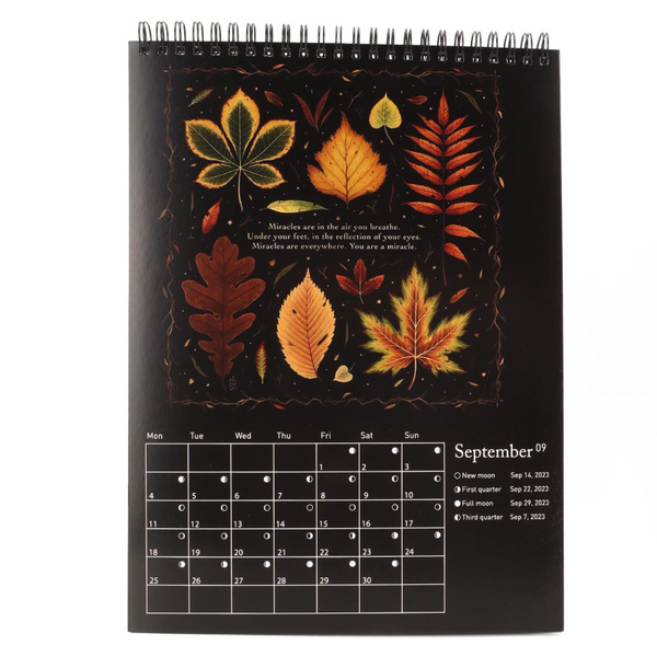 Dark Forest Moon Calendar 2023 Waterproof 12-Month Wall Calendar 2023 ...