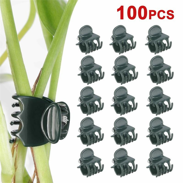 100Pcs Bag Garden Plant Support Fix Clips Flower Orchid Stem Clips for ...