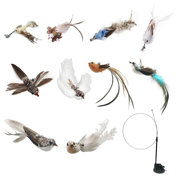 Simulation Feather Bird Interactive Cat Toys with Suction Cup Funny Cat ... Simulation Feather Bird Interactive Cat Toys with Suction Cup Funny Cat ...