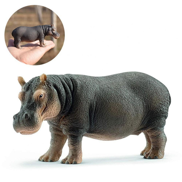 Model Simulation Hippopotamus Wild Life Animal Model Figures Toy Zoo ...