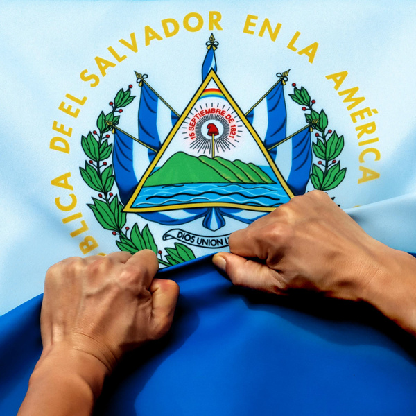 Anley Rip-Proof Technology Double Sided 3-Ply El Salvador Flag 3x5 Foot ...