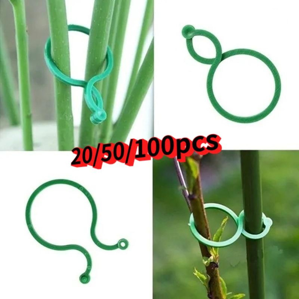 Gardening 8 bazi buckle ring gourd ring gardening accessories plant ...