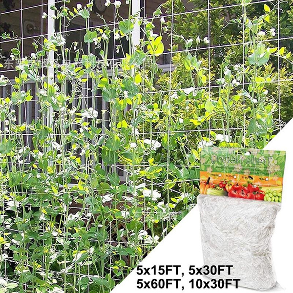 Trellis Net, Heavy-Duty Polyester Trellis Net Design for Climbing ...