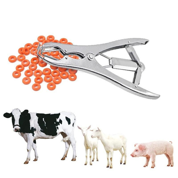 100 Piece Cattle Tools Rubber Rings Pig Sheep Calve Goat Tail Docking Tang Castration Pet ...