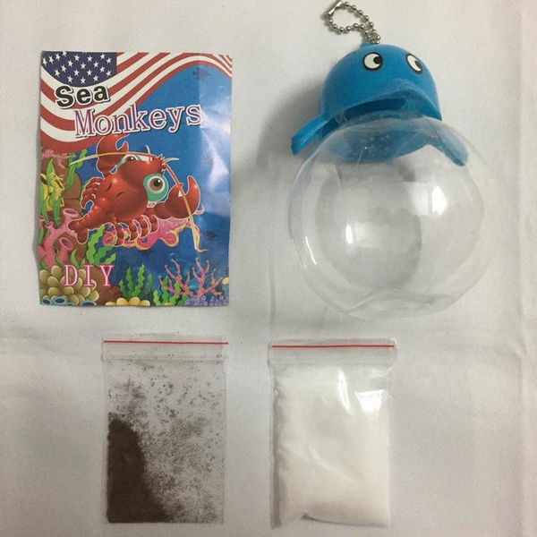 1 PCS 2023 15mm Length Sea Monkeys Monkey Eggs With An Aquario Aquarium ...