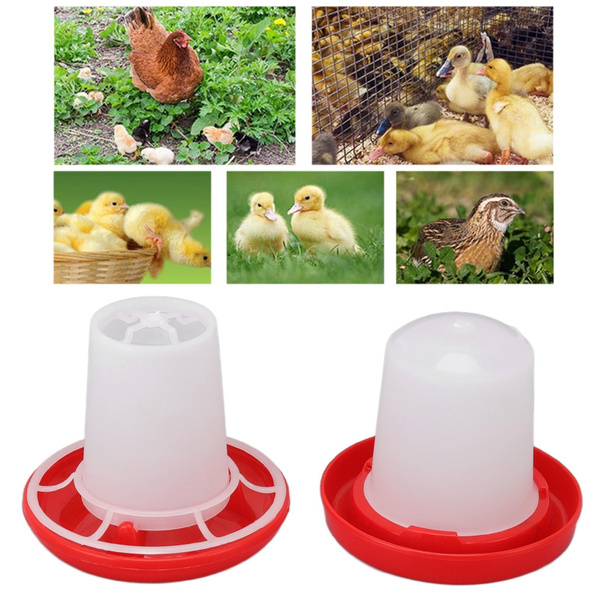 Chick Feeder and Waterer Kit, Automatic Chick Feeder and Chick Waterer ...