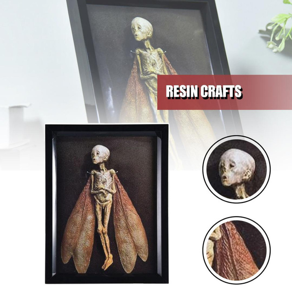 Dead Fairy Shadow Box Display Creepy Mummified Fairy Corpse Halloween ...