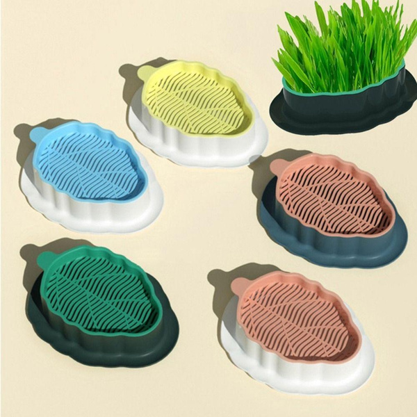 Digestion Hydroponic Plant Sprout Dish Grow Germination Greenhouse Cat ...