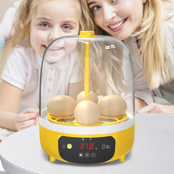 Mini Egg Incubator Egg Turner Tray Digital Children Experimental Small ...