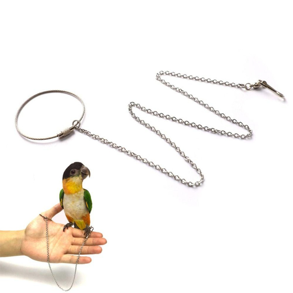 1Pcs Silver Cockatiel Starling Pigeon with Swivel Buckle Bird ...