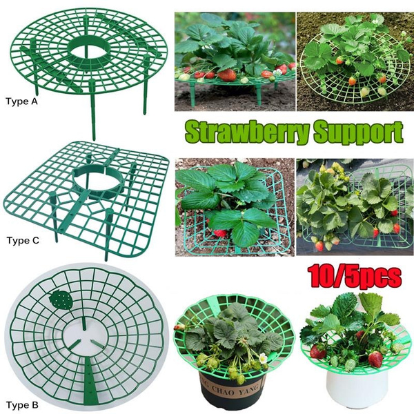 10/5 Pack Strawberry Supports Keeping Fruit Elevated to Avoid Ground ...