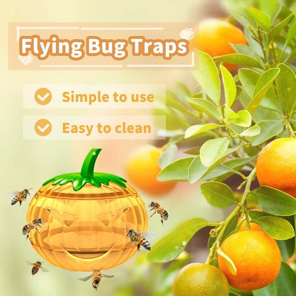 Flying Insect Trap Pumpkin Shape Fruit Flies Bees Flies Fruit Flying ...