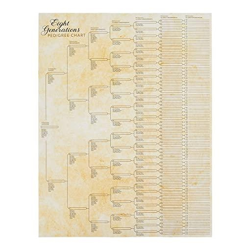 Okuna Outpost 15-Pack Family Tree Charts to Fill In, Blank 8 Generation ...