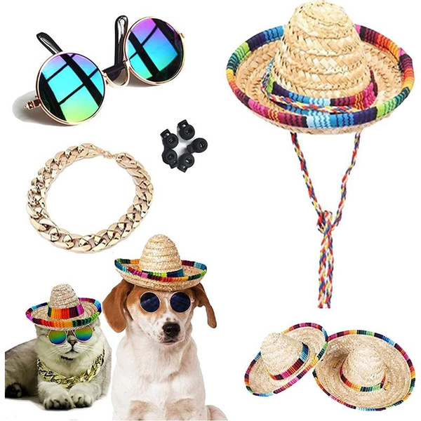Pet Supplies Dog Cat Costume Set Pet Sunglasses and Summer Pet Straw ... Pet Supplies Dog Cat Costume Set Pet Sunglasses and Summer Pet Straw ...