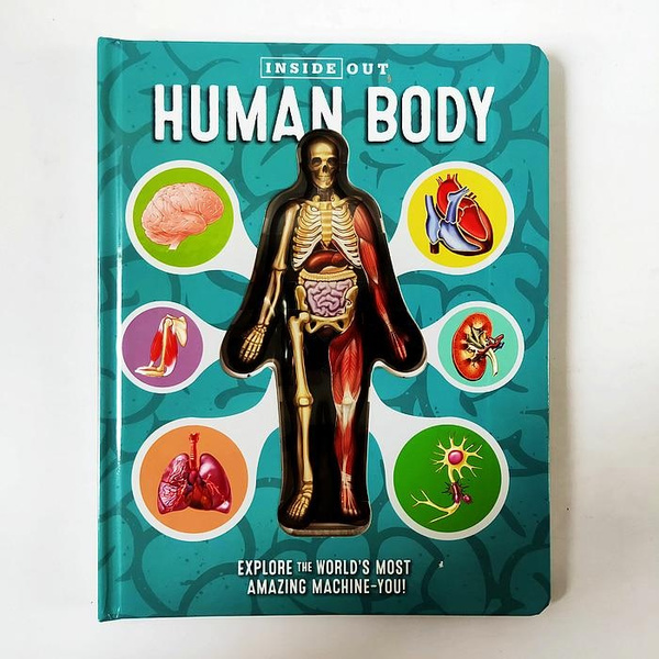 Inside Out Human Body 3D Picture Book Anatomy Of In English Popular ...