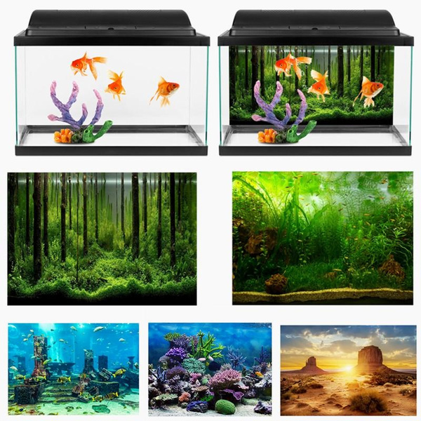 Fish Tank Background,Aquarium Poster, Aquarium Background Picture, PVC ...