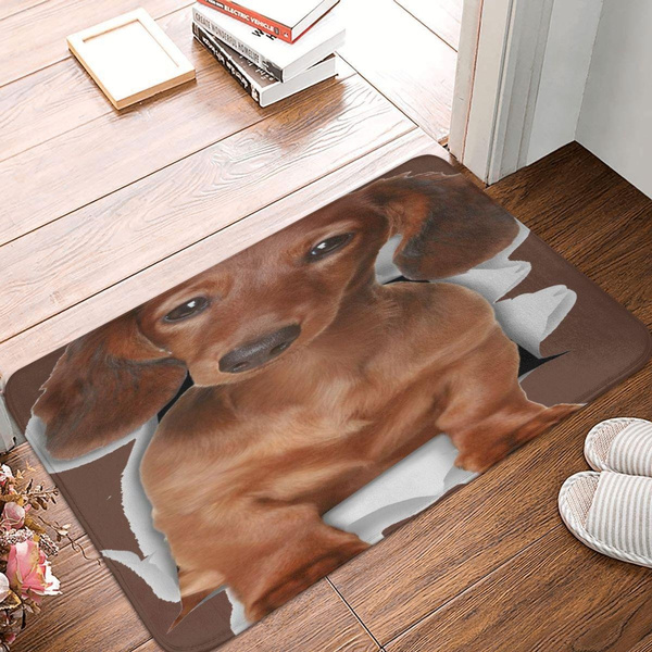 3D Dog Long Haired Brown Dachshund Stickers Doormat | Wish
