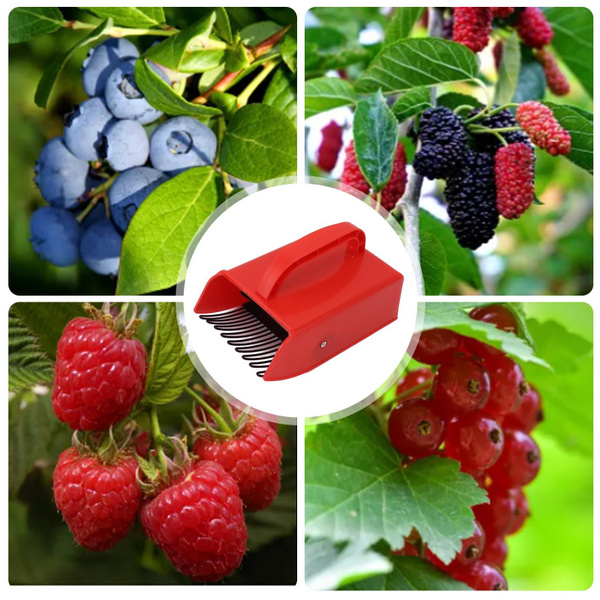 Portable Berry Pickers Metal Comb Rakes Picking Fruit Collecting Scoop