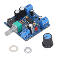 Digital Amplifier, 15W Perfect Filtering Volume Adjustment Power ...