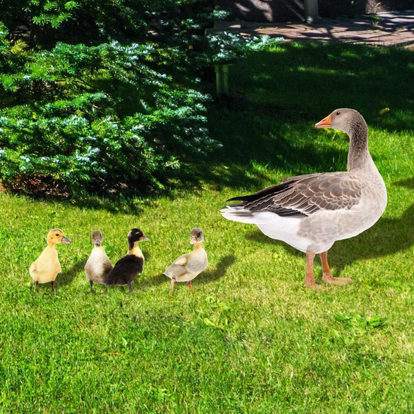 2D Garden Duck Stand Decorative Yard Patio Lawn Acrylic Art Decoration ...