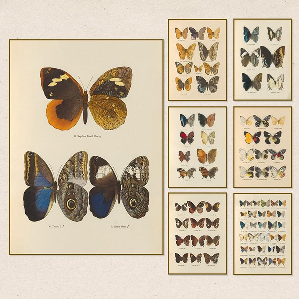 Flutter into the Past: A Charming Glimpse into a Vintage Butterfly ...