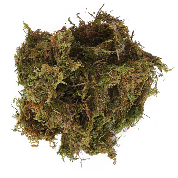 Natural Terrarium Moss Terrarium Bedding Substrate Mat Reptile ...