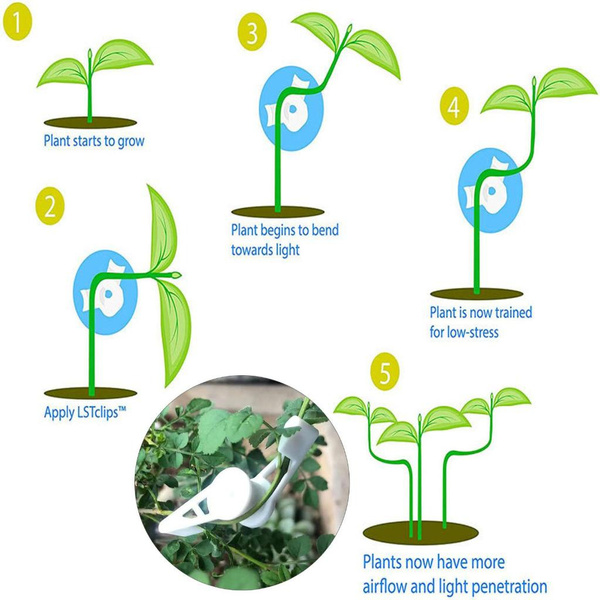Low Stress Training Clips Garden Plant 360 Degree Bender Plant Bending ... Low Stress Training Clips Garden Plant 360 Degree Bender Plant Bending ...