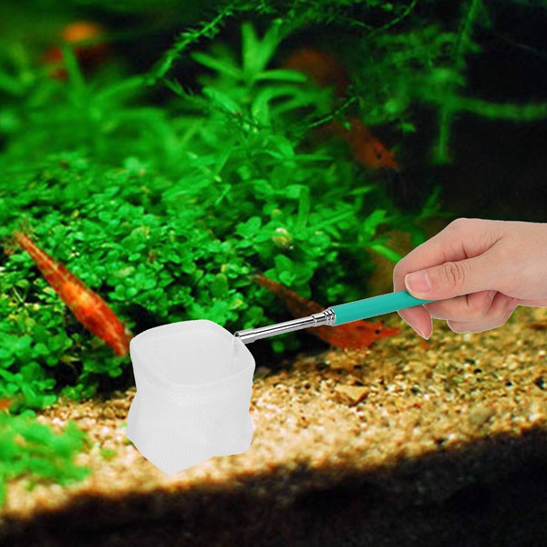 Retractable Fish Catch Net, Fishing Net, Plastic for Fish Aquarium | Wish