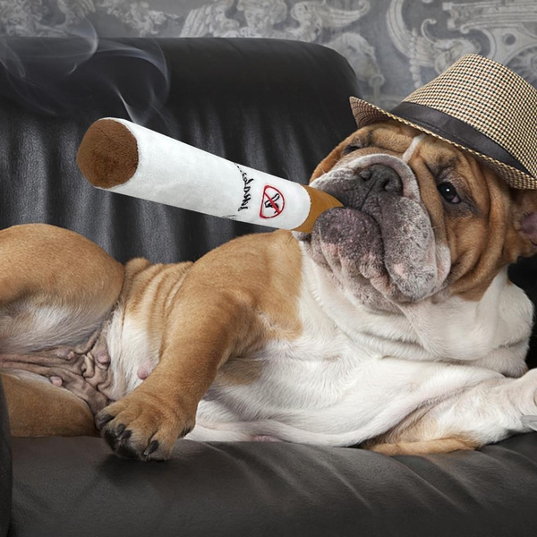 Pet Funny Toys Cigar Big Smoke Plush Sound Squeak Fake Cigarettes Toys ...