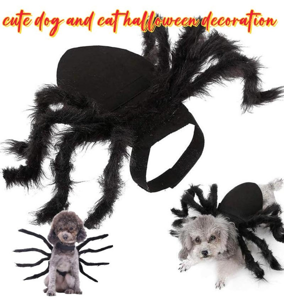 Dog and Cat Halloween Costume Black Spider Pet Cosplay Spider Costumes ...