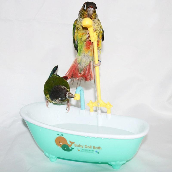 Parrot Automatic Bathtub Bird Bath Tub Bird Parrot Bathing Tub Fountain ...