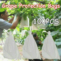 100Pcs Grape Protection Bags For Fruit Vegetable Grapes Mesh Bag ...