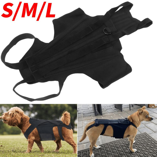 Pet Back Bracer, Adjustable and Comfortable for Post Surgery Recovery ...