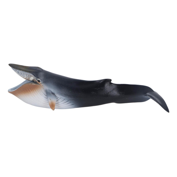Blue Whale Toy, Marine and Ocean Animal Toy Hand Painted Sea Animal ...