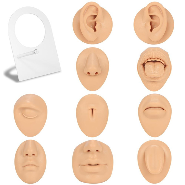 Silicone Ear Model with Acrylic Display Stand Piercing Practice Body ...