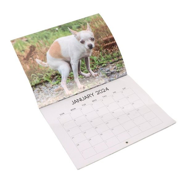 2024 Funny Wall Calendar 12 Month Decorative Pooping Dog Writing Block ...