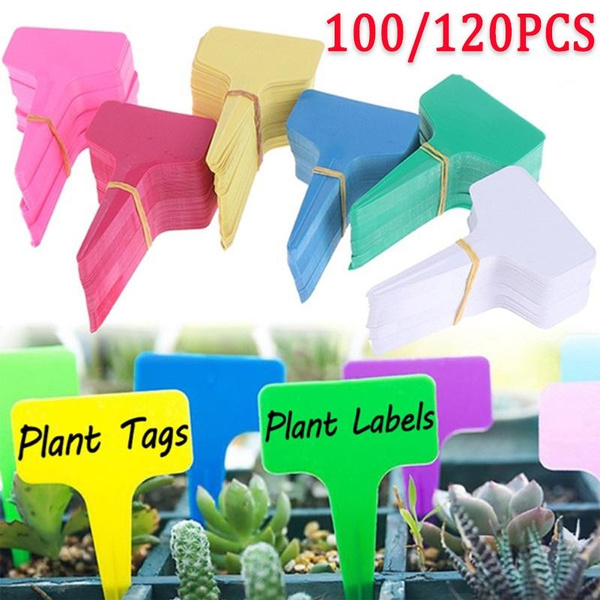 50/100/120Pcs Plastic Plant Labels T-Type Plants Garden Tags for Indoor ...