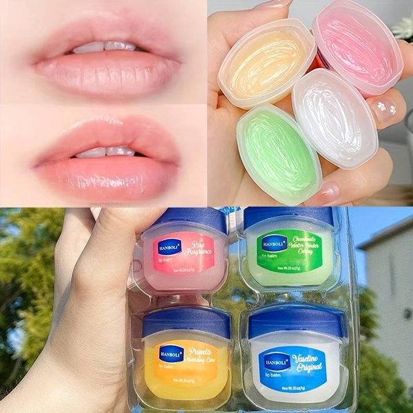 4PCS/lot Lip Balm Moisturizing Lip Balm Set Natural Botanical Anti ...
