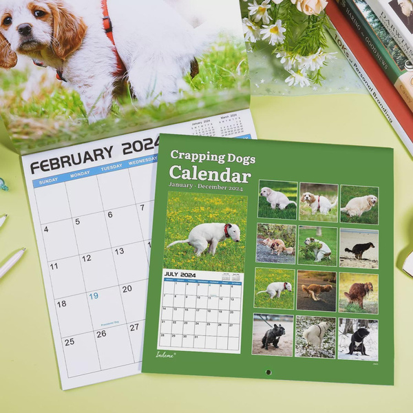 Dog Calendar 2024 New Year's Calendar Dog Poop Wall Calendar, Fun ...