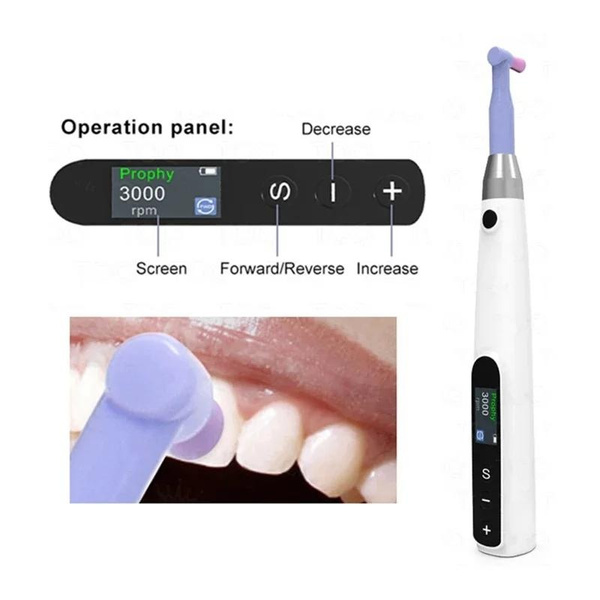 Dental Polishing Motor Electric Teeth Prophy Polish Unit 3000RPM Tooth ...