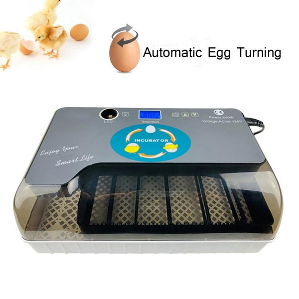 2024 Newest 9-35 Eggs Automatic Chicken Egg Incubator Farm Hatchery ... 2024 Newest 9-35 Eggs Automatic Chicken Egg Incubator Farm Hatchery ...