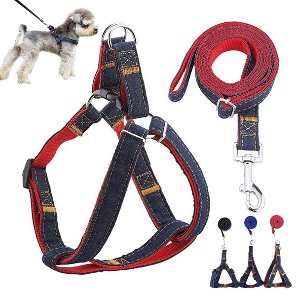 1 Pc Dog Leash And Collar Set, Adjustable Lightweight Pet Leash, Sturdy ...